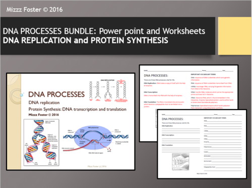 DNA Processes Bundle: DNA Replication and Protein Synthesis: Power ...
