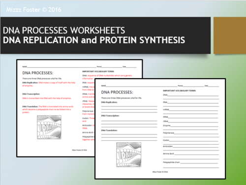 DNA Processes: DNA Replication and Protein Synthesis Worksheets with ...