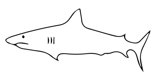 Under The Sea Clipart (Finding Nemo Inspired) | Teaching Resources