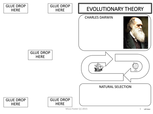 Evolution Bundle: Power Point and Graphic Organizer Foldable with Key ...