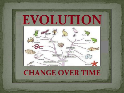 Evolution Bundle: Power Point and Graphic Organizer Foldable with Key ...