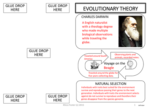 Evolution Bundle: Power Point and Graphic Organizer Foldable with Key ...