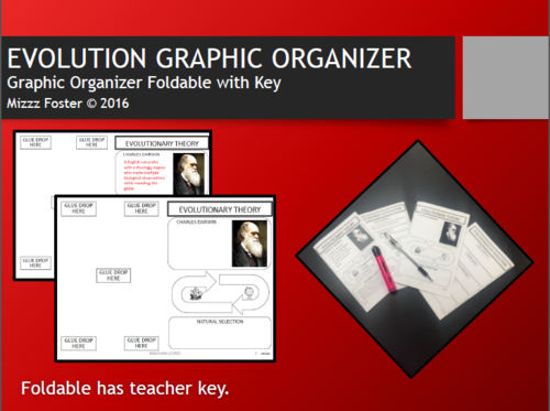 Evolution Graphic Organizer Fold-Out Foldable with Key | Teaching Resources