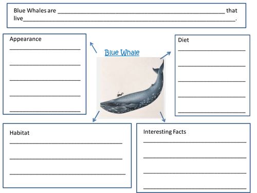 Non chronological reports | Teaching Resources