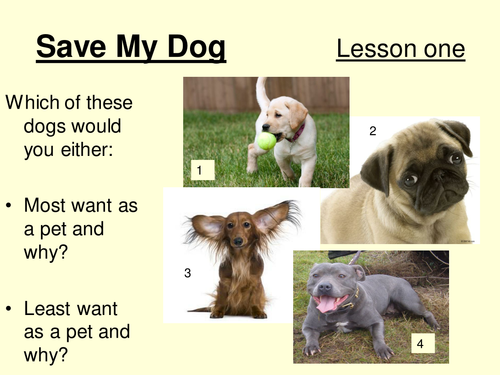 Teaching persuasive writing based on Animals | Teaching Resources