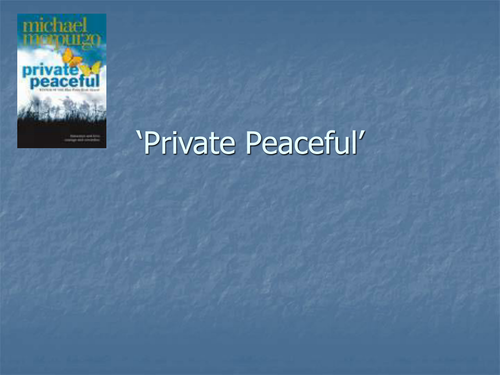 Private Peaceful By Michael Morpurgo Full Scheme of 18 Lessons ...