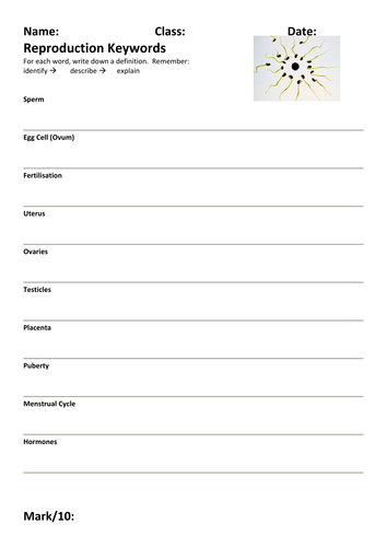 KS3 Science Keyword Homework (Complete Edition) | Teaching Resources