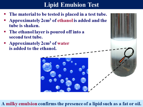 BioA_3.1.3 The Nature of Lipids | Teaching Resources
