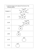 Highest Common Factor Bugs | Teaching Resources