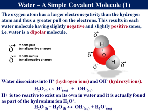 3.1.7 Water as a Biological Molecule | Teaching Resources