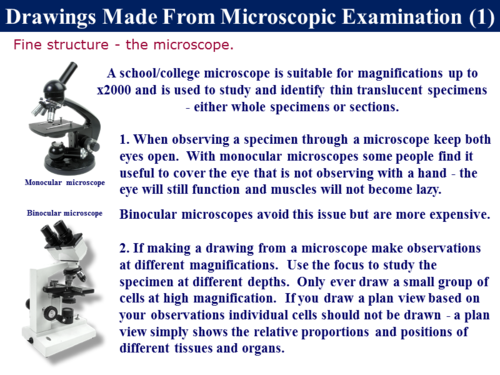 BioA_3.2.1.3 Biological Drawings - Cells, Tissues & Whole Specimens ...
