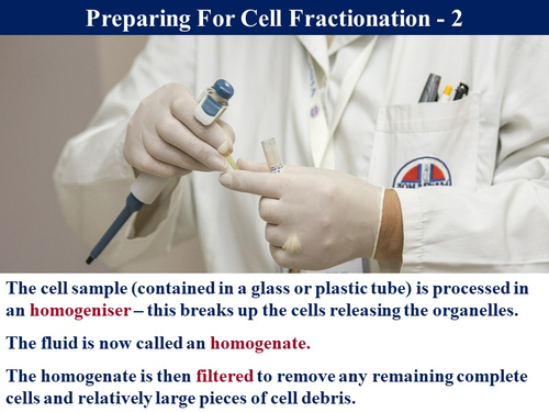 BioA_3.2.1.3 Studying Cells 4 - Cell Fractionation ...