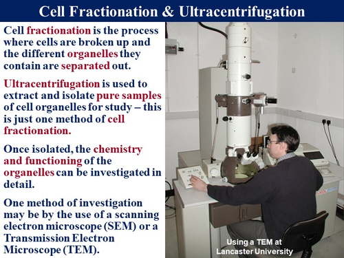 BioA_3.2.1.3 Studying Cells 4 - Cell Fractionation ...