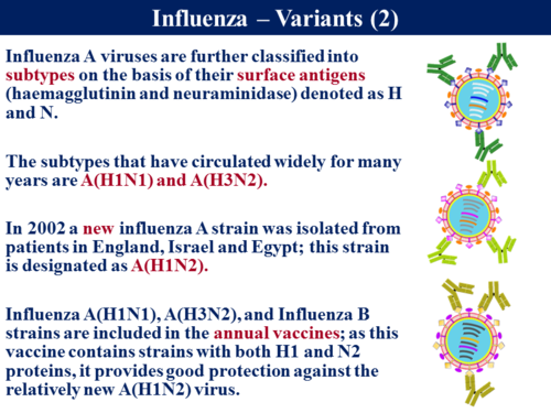 BioA_3.2.4 Antigenic Variability - Influenza | Teaching Resources