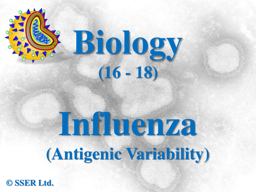 BioA_3.2.4 Antigenic Variability - Influenza | Teaching Resources
