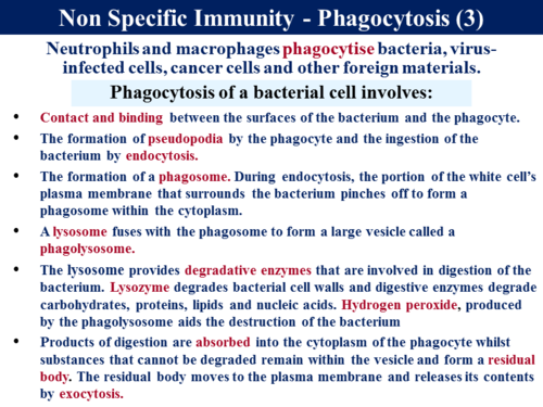BioA_3.2.4 Immunology 1 - Introduction and Humoral Response | Teaching ...