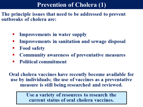 BioA_3.3.3 Digestion 3b - Cholera | Teaching Resources