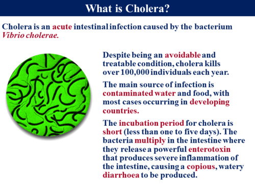 BioA_3.3.3 Digestion 3b - Cholera | Teaching Resources