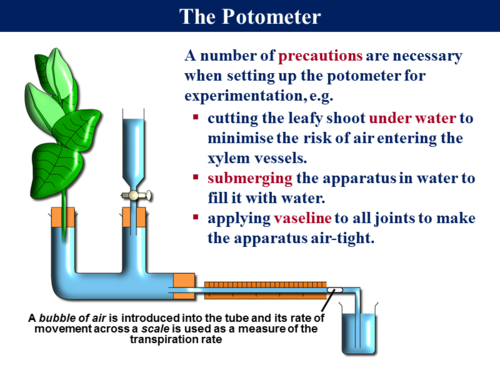 BioA_3.3.4.2 Water Transport in Plants - 2 (Transpiration & The ...