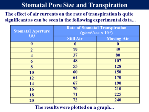 BioA_3.3.4.2 Water Transport in Plants - 2 (Transpiration & The ...