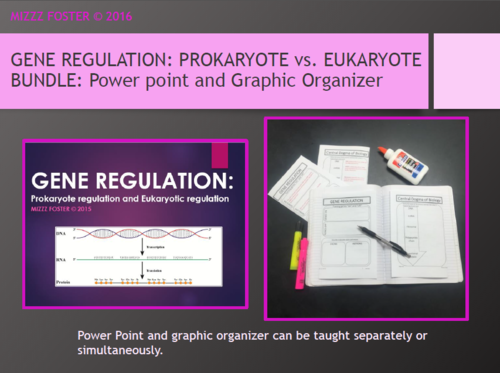Gene Regulation (Prokaryotic and Eukaryotic) Bundle: Power point and ...