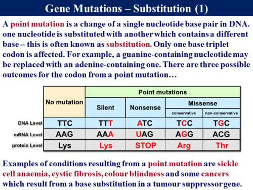 BioA_3.4.3 Gene Mutations | Teaching Resources