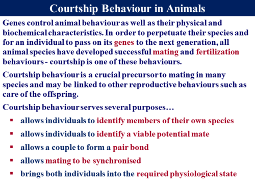 BioA_3.4.5 Courtship Behaviour | Teaching Resources