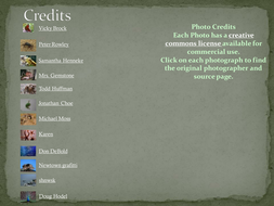 Classifying Animals Powerpoint | Teaching Resources