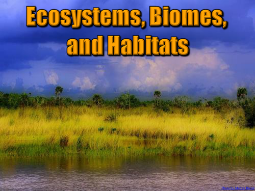 Ecosystems, Biomes, and Habitats - Powerpoint & Activities | Teaching ...