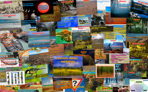 Ecosystems, Biomes, and Habitats - Powerpoint & Activities | Teaching ...