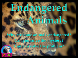 Endangered Animals - PowerPoint & Activities | Teaching Resources