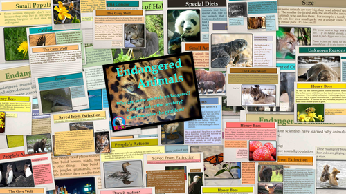 Endangered Animals - PowerPoint & Activities | Teaching Resources
