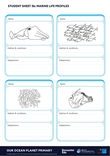 UK ocean animals KS2 Science | Teaching Resources