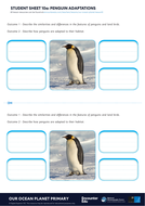 Adaptation in the Antarctic KS2 Science | Teaching Resources