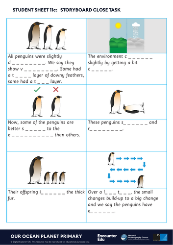 Evolution and penguins KS2 Science | Teaching Resources