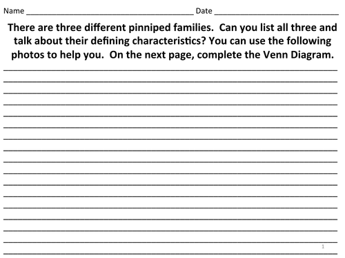 Seals, Sea Lions, and Walruses: Pinnipeds Powerpoint & Activities ...