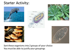 BTEC LEVEL 3 UNIT 15.1 Akaryotes, prokaryotes and eukaryotic cells ...