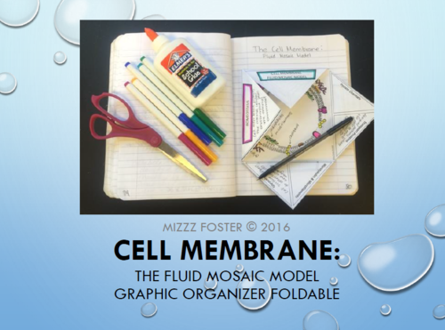Cell Membrane Graphic Organizer Foldable Activity | Teaching Resources