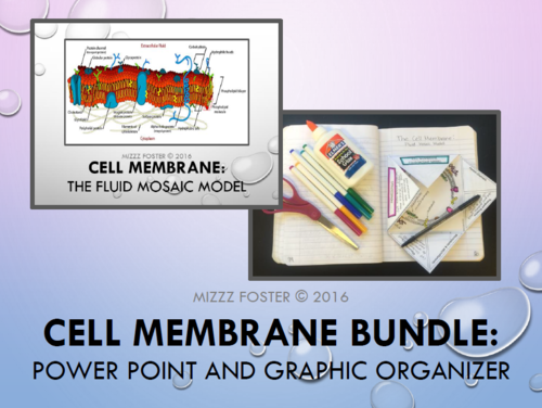 Cell Membrane Bundle: Power Point and Graphic Organizer Foldable ...