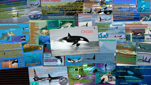 Orcas - The Killer Whales: PowerPoint & Activities | Teaching Resources