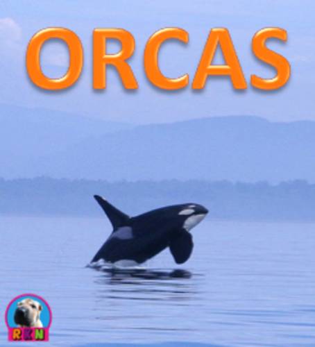 Orcas - The Killer Whales: PowerPoint & Activities | Teaching Resources