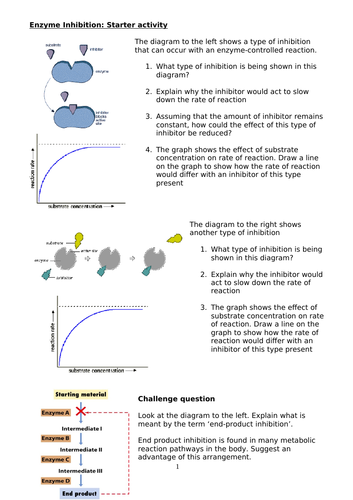 Respiration Revision for A Level Biology | Teaching Resources