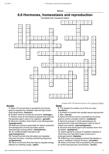 IB Biology 2016 Topic 6 Human Physiology Crossword Puzzles | Teaching ...