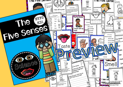 The Fives Senses (Unit of Work- EYFS/KS1) | Teaching Resources