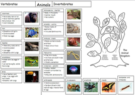Ecology, Classification, Evolution and Adaptation - BUNDLE OF 5 ...