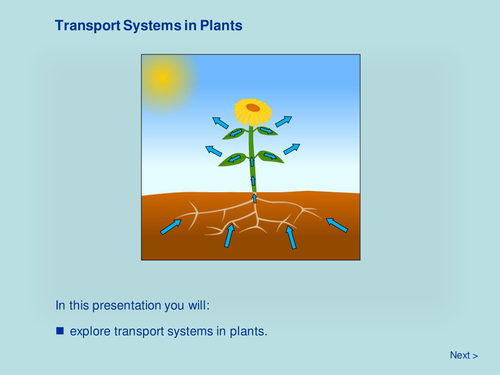 Plant Biology - Transport Systems in Plants | Teaching Resources