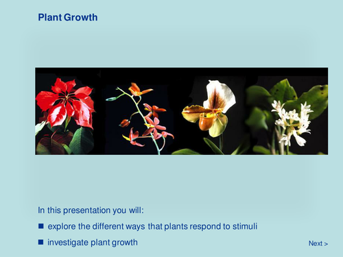 Plant Biology - Plant Growth | Teaching Resources