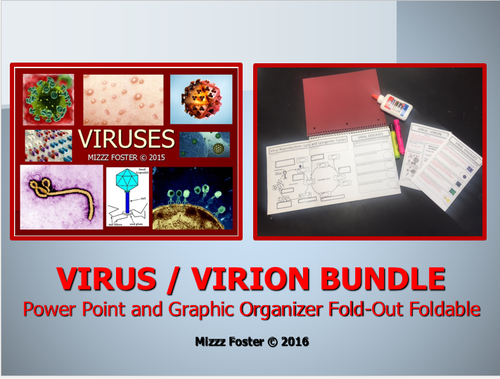 Virus Bundle: Power point and Graphic Organizer Foldable | Teaching ...
