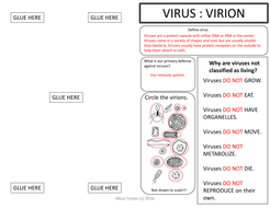 Virus Bundle: Power point and Graphic Organizer Foldable | Teaching ...