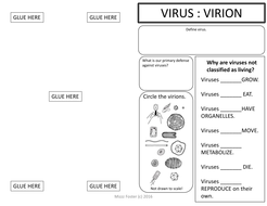 Virus Graphic Organizer Foldable | Teaching Resources